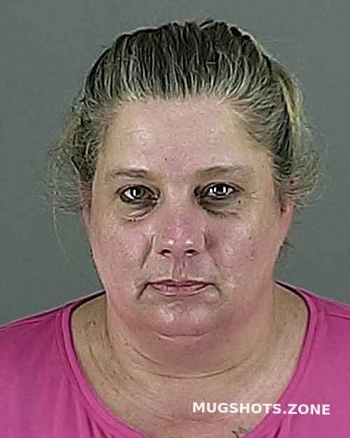 METZ SHEILA M 08/16/2024 - Summit County Mugshots Zone