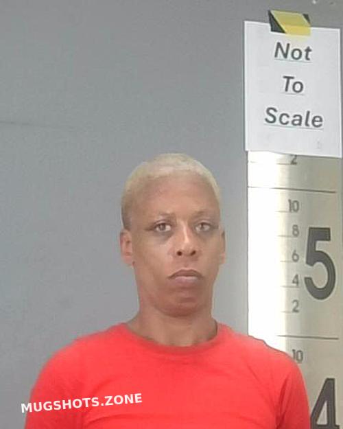 LOFTIN TALEASE ALAWNA 08/18/2024 - Summit County Mugshots Zone