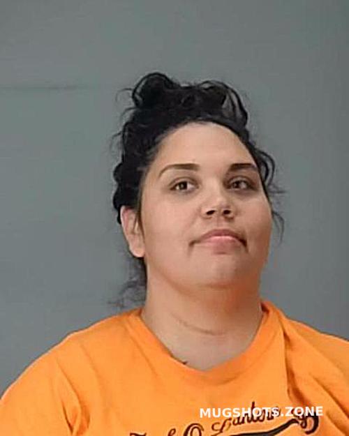 KETCHUM TONYA 08/20/2024 - Summit County Mugshots Zone