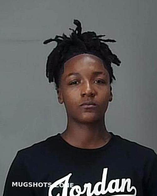 LEWIS ARIYUANA NYREE 08/25/2024 - Summit County Mugshots Zone