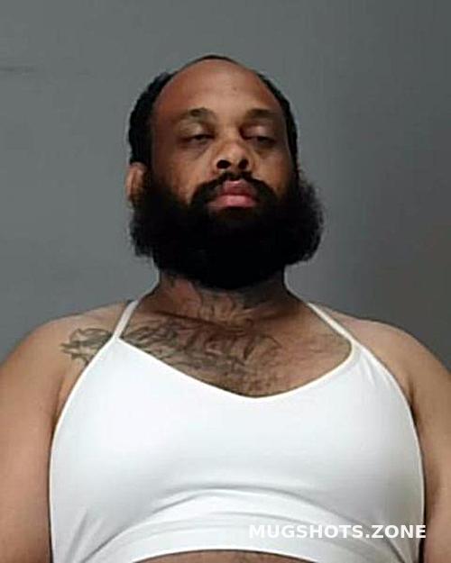 AYERS MEKELL DAMOUR 09/08/2024 - Summit County Mugshots Zone