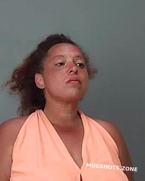 STARCHER LEANNA RENEE 09/08/2024 - Summit County Mugshots Zone