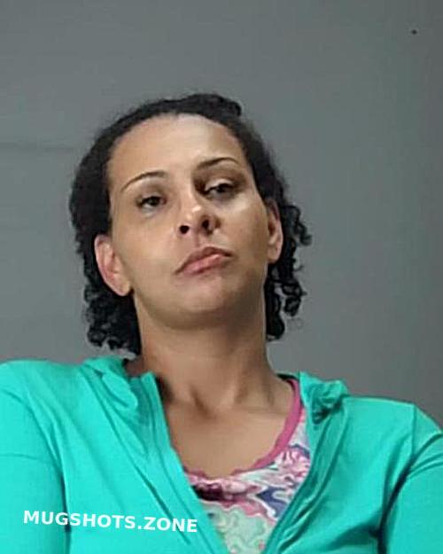 WHEELER DEANNA SHANTEL 09/24/2024 - Summit County Mugshots Zone