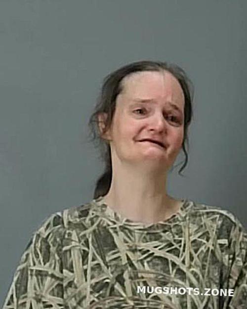 APPLEGATE KELLY ANN 09/24/2024 - Summit County Mugshots Zone