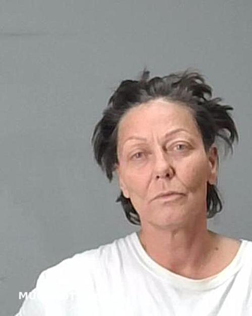 BROOKBANK CATHY MICHELLE 10/24/2024 - Summit County Mugshots Zone