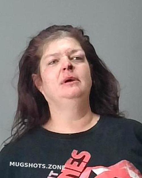 GUZMAN MARIA ALEJANDRA 10/30/2024 - Summit County Mugshots Zone