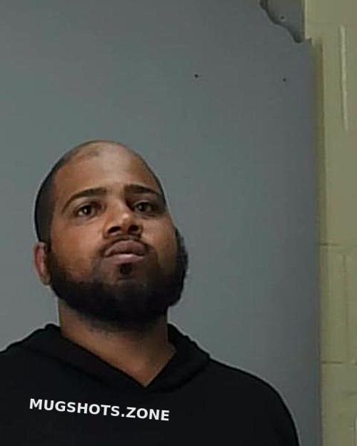 TALLEY TERRELL DSHAWN 11/07/2024 - Summit County Mugshots Zone