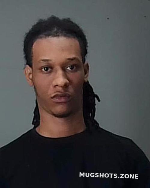 DAVIS DAMARION GABRIEL 11/11/2024 - Summit County Mugshots Zone