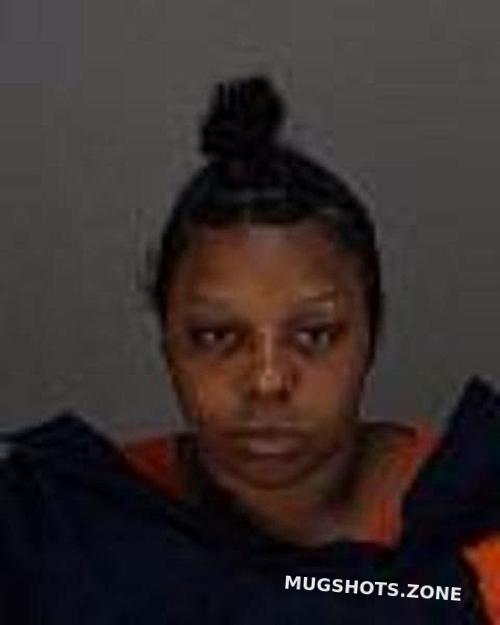 WALKER NAKIA L 11/17/2024 - Summit County Mugshots Zone