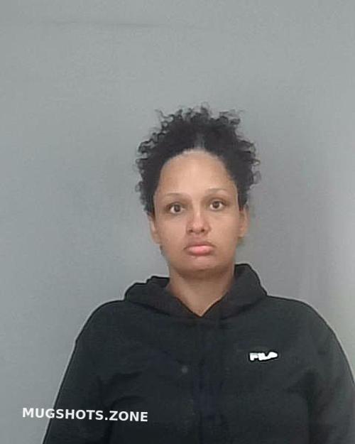 PIXLEY BRIDGET NICOLE 12/25/2024 - Summit County Mugshots Zone