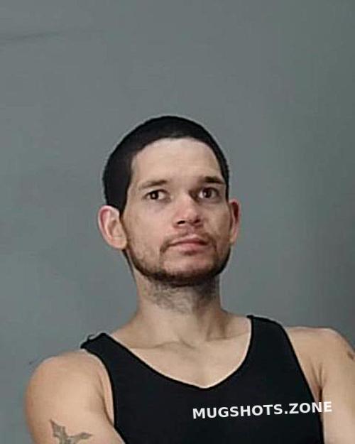 WOLFE DAVID HAROLD 01/09/2025 - Summit County Mugshots Zone