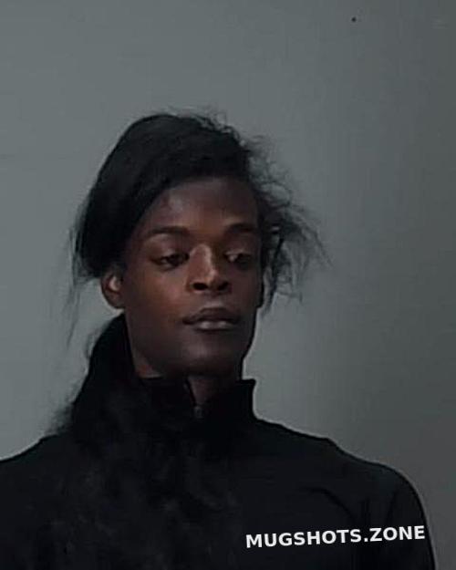 LEWIS DAYSHON MONTRELL 01/28/2025 - Summit County Mugshots Zone