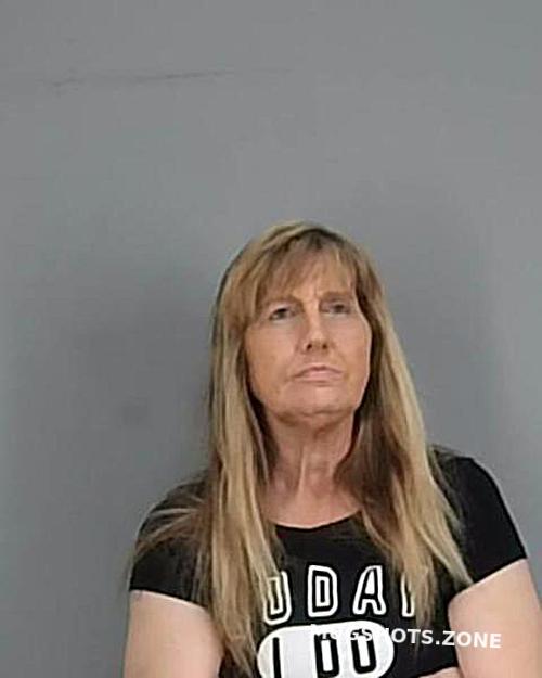 BRUMBACK REBECCA SUE 02/19/2025 - Summit County Mugshots Zone