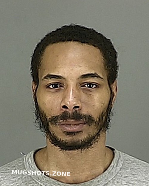 WOOLRIDGE JOSHUA LLOYD 02/21/2025 - Summit County Mugshots Zone