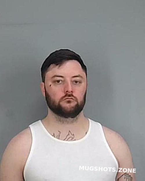 TAFINI ALEXANDER SCOTT 02/23/2025 - Summit County Mugshots Zone