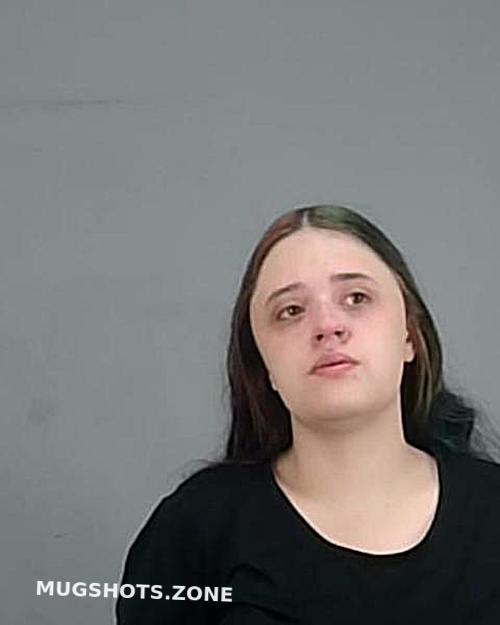 TAYLOR DANIELLE 03/03/2025 - Summit County Mugshots Zone