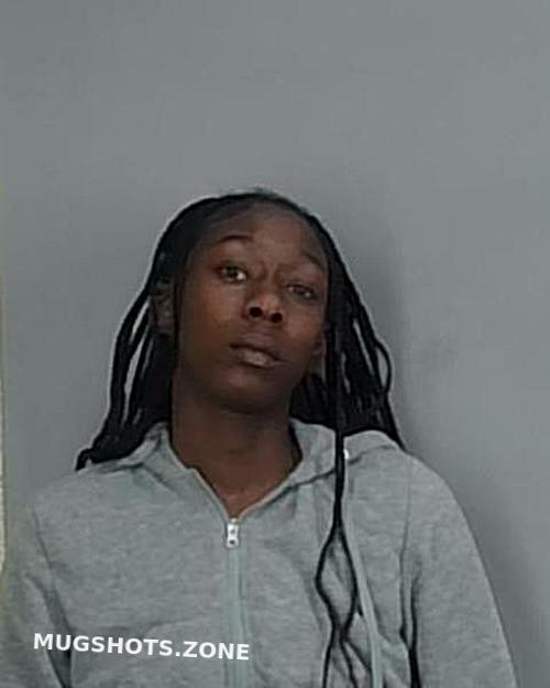 WILLIAMS MELISSA RENEE 03/08/2025 - Summit County Mugshots Zone