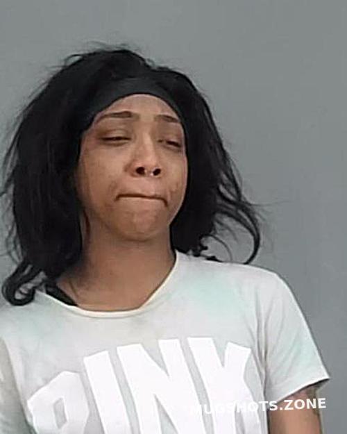 JOHNSON KRISTA SHEREE 03/13/2025 - Summit County Mugshots Zone