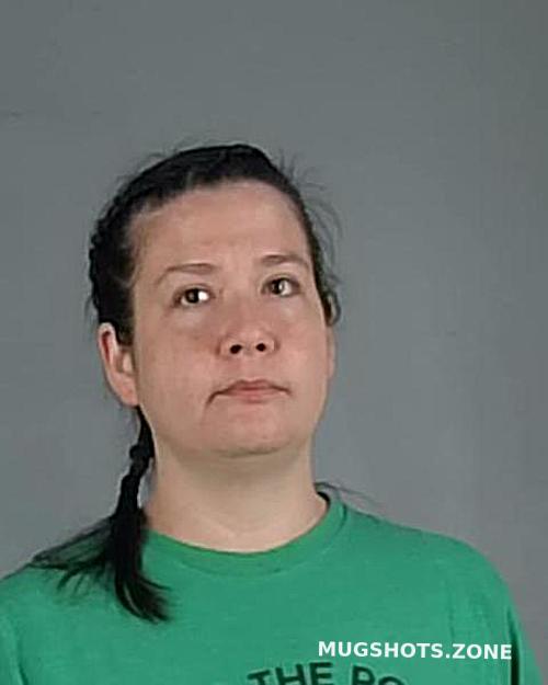 BARNA STACY ELIZABETH 03/16/2025 - Summit County Mugshots Zone