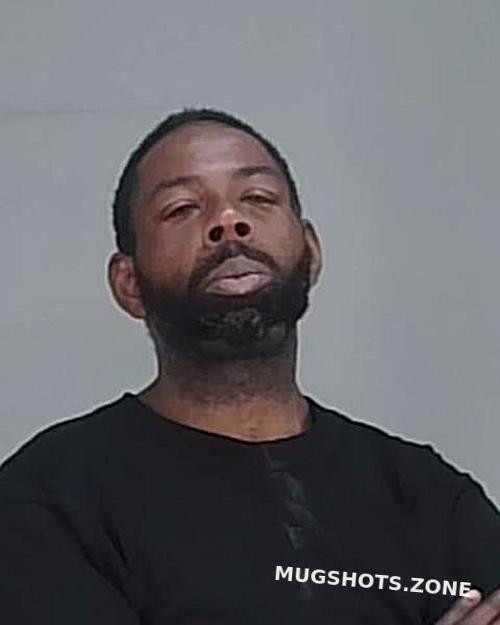 REED LEE ANTHONY 03/22/2025 - Summit County Mugshots Zone