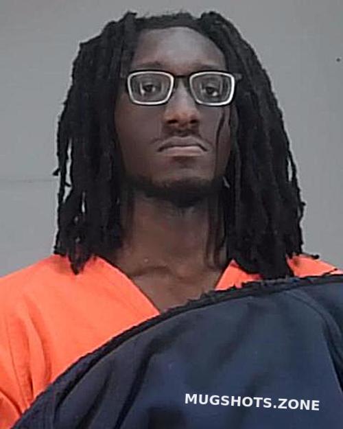 WILLIAMS DAISHAWN 03/22/2025 - Summit County Mugshots Zone