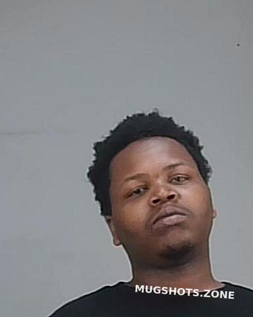 BROADUS DAVION LEMARR 03/27/2025 - Summit County Mugshots Zone