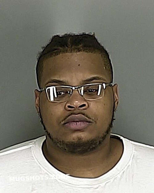 BOYKIN DOMINIQUE IAN LEE SHAWN 04/03/2025 - Summit County Mugshots Zone