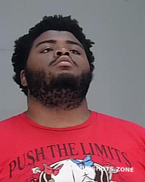 ROSS BRIAN LAMAR 04/04/2025 - Summit County Mugshots Zone