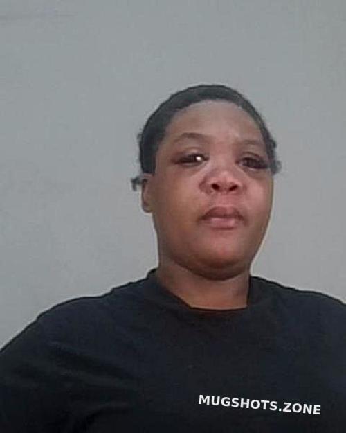 SALES DAMONICA MONIQUE 04/18/2025 - Summit County Mugshots Zone