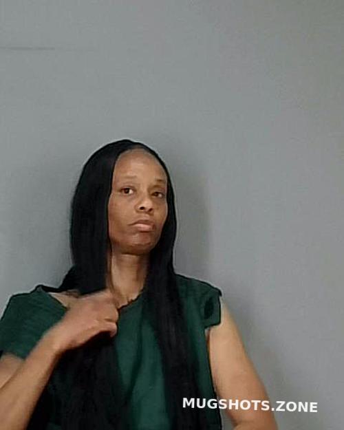 RUPLE FRANCINE MONIQUE CHANDRA 04/19/2025 - Summit County Mugshots Zone