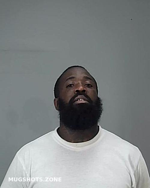 BUTLER ELIJAH JAMEL 04/20/2025 - Summit County Mugshots Zone