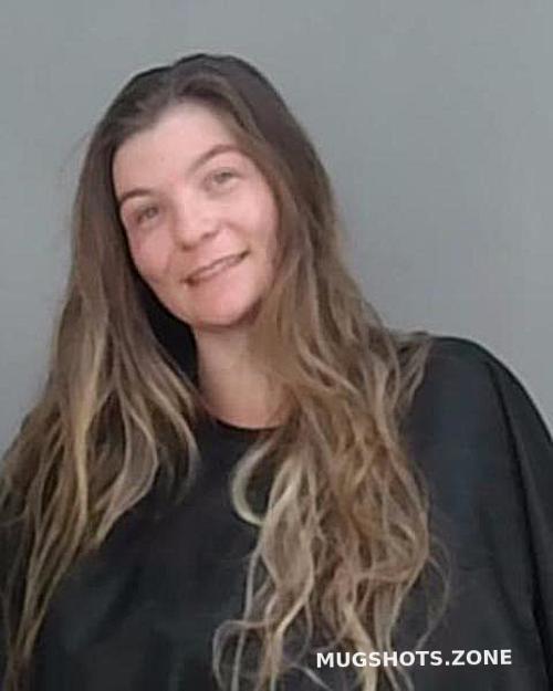 SCHLAG LOUISA KAY 06/01/2025 - Summit County Mugshots Zone