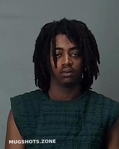 BROWNLEE DARYL KEITH 06/14/2025 - Summit County Mugshots Zone