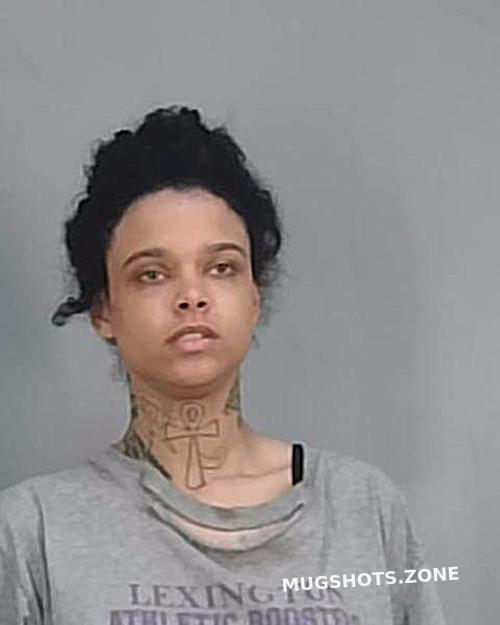 DURFEE ANNA GRACE 06/27/2025 - Summit County Mugshots Zone