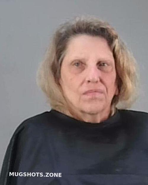 VOGEL SUSAN FRANCES 07/09/2025 - Summit County Mugshots Zone