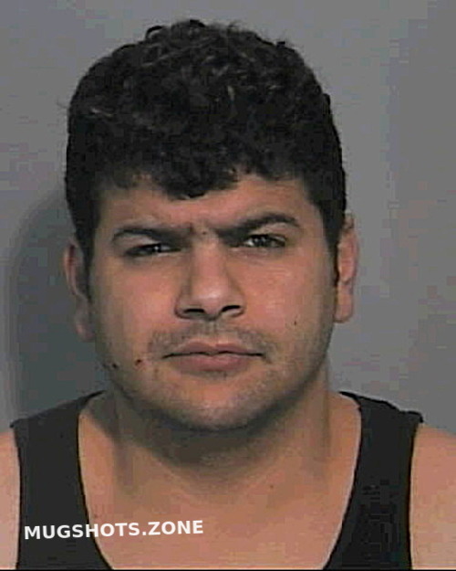 DAMRA MAHMOUD HARBI 08/03/2025 - Summit County Mugshots Zone