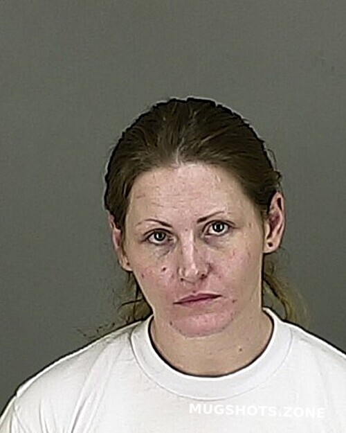 JARVIS HEATHER DAWN 10/13/2025 - Summit County Mugshots Zone