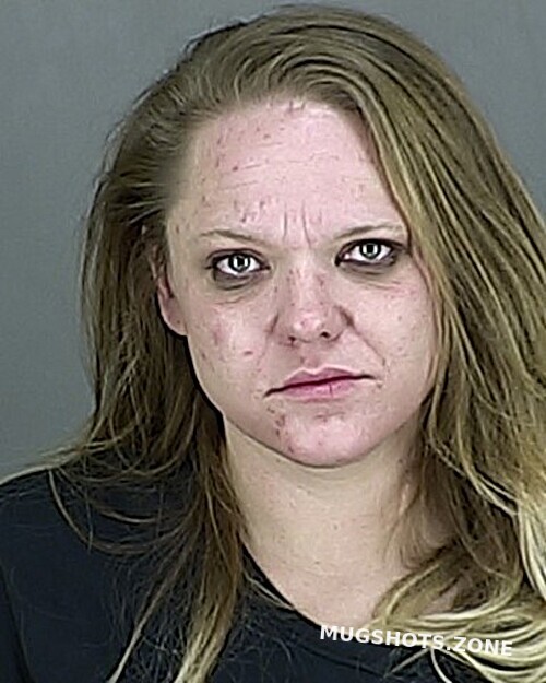 NICHOLAS CRYSTAL M 10/30/2025 - Summit County Mugshots Zone