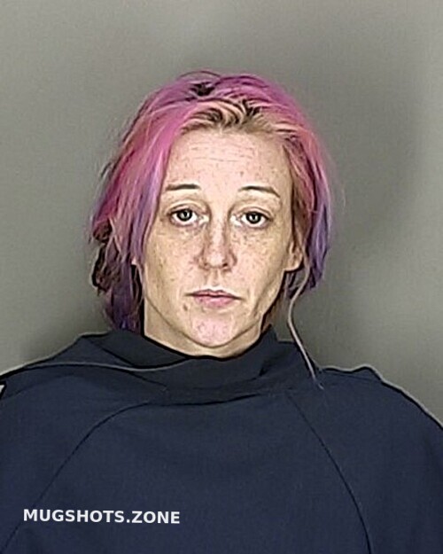 STOLICNY BRITTANY JANELLE CARRIE 12/21/2025 - Summit County Mugshots Zone