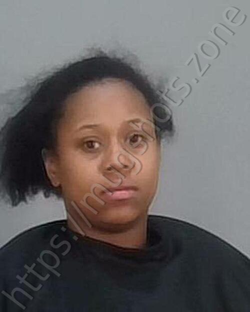 FEARS CHRISTINA LESLIE MARIA 04/02/2026 - Summit County Mugshots Zone