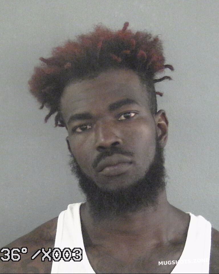 RAWLS CHRISTOPHER CHARLES 03/10/2022 - Sumter County Mugshots Zone