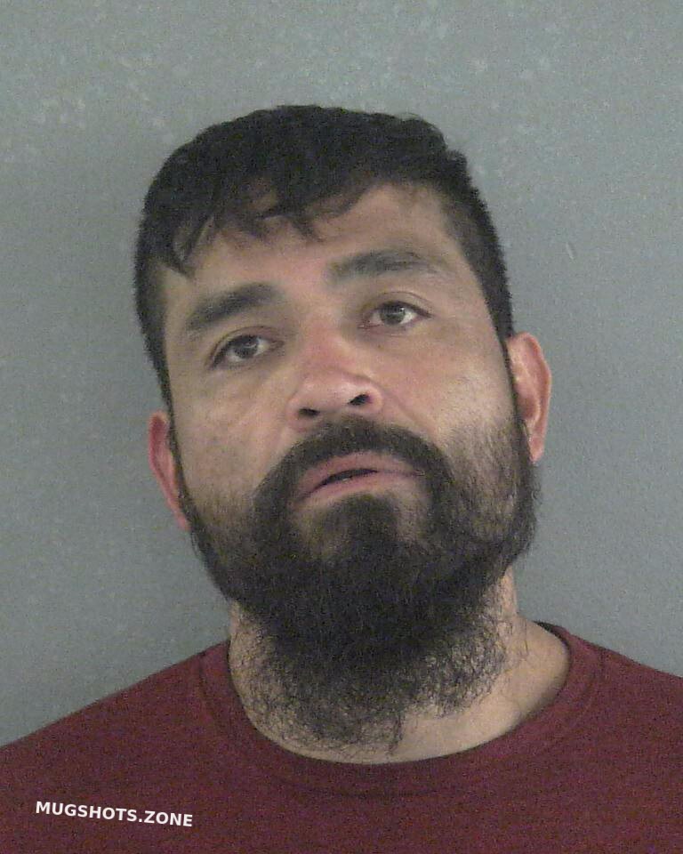 FELIX ALBERTO 05/24/2022 - Sumter County Mugshots Zone