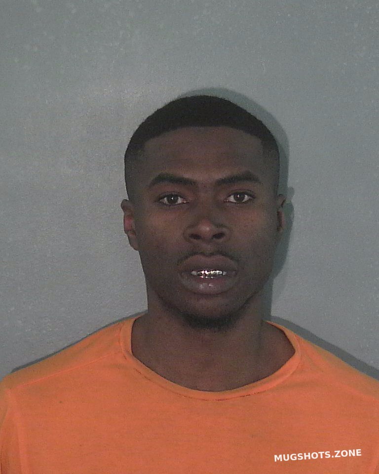 PALMER LEONARD HERBERT 12/29/2022 - Sumter County Mugshots Zone