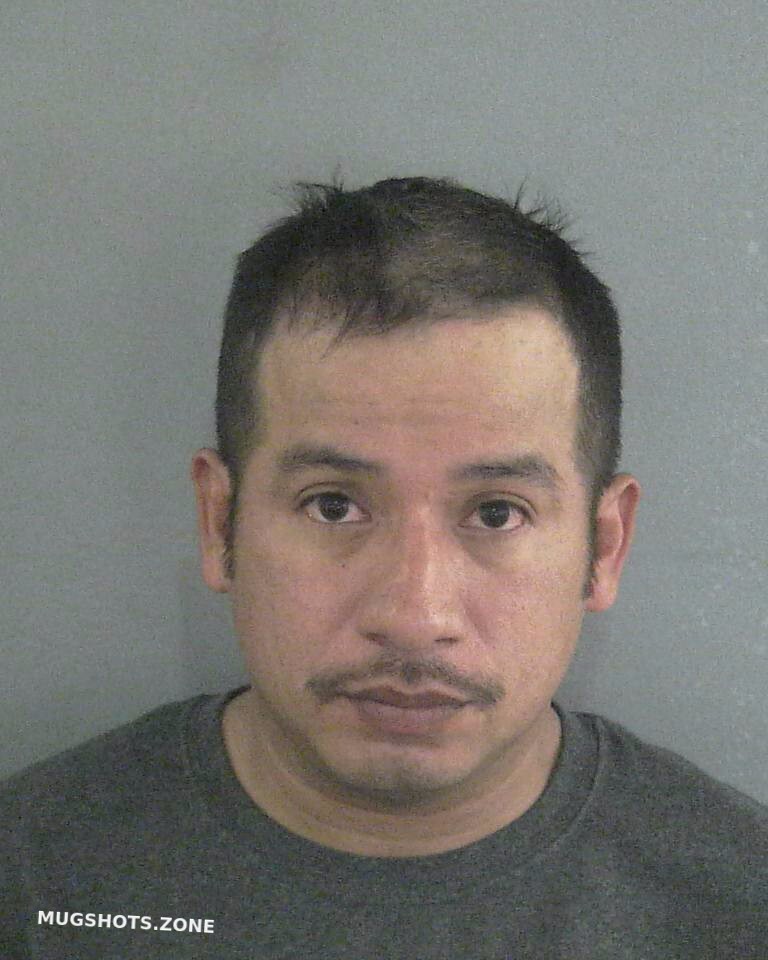 MASIS JOSE ROMERO 01/13/2023 - Sumter County Mugshots Zone