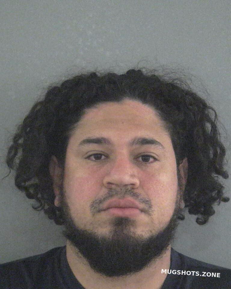 BARRIOS REYES CARLOS JOSE 03/01/2023 - Sumter County Mugshots Zone