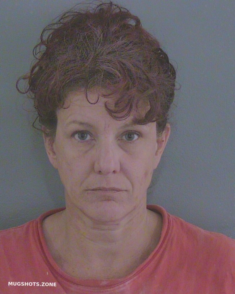 DRIGGERS DAWN ELAINE 04/10/2023 - Sumter County Mugshots Zone