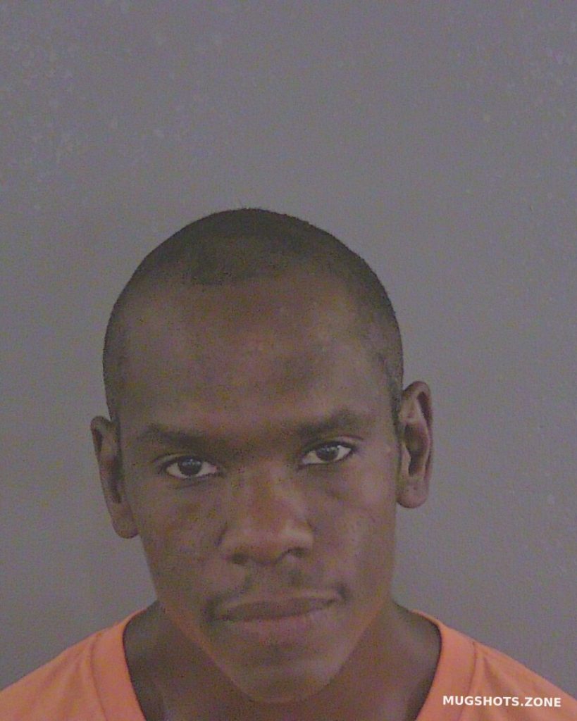 HARTWELL JOHNNY CALVIN 09/19/2023 - Sumter County Mugshots Zone