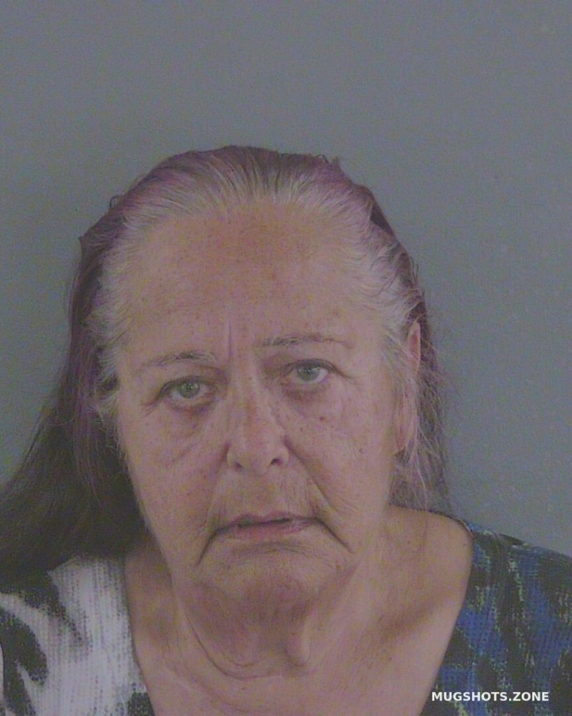 MCCALL-ARNETT SHARON BERNICE 06/12/2024 - Sumter County Mugshots Zone
