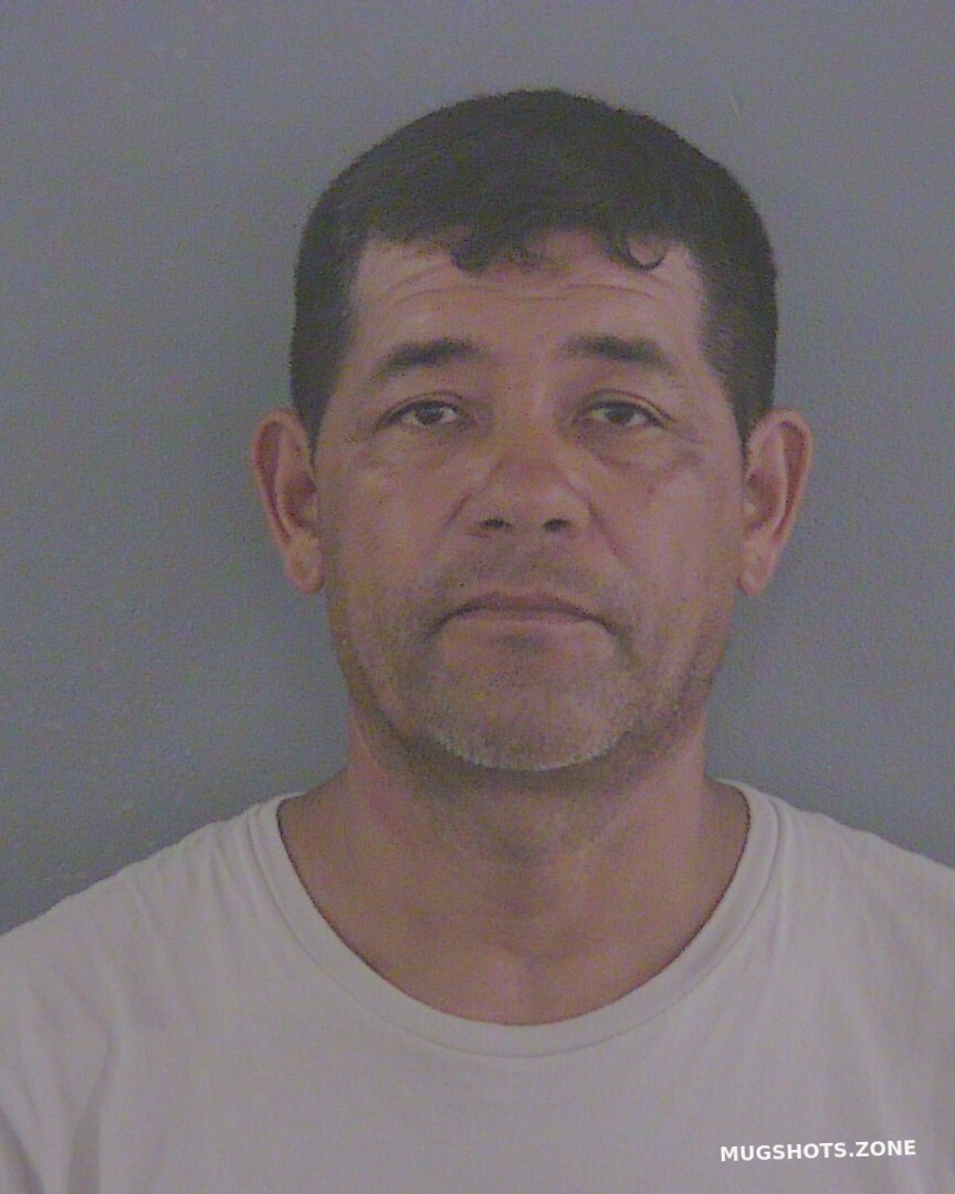 RUIZ CARLOS OSWALDO 07/11/2024 - Sumter County Mugshots Zone