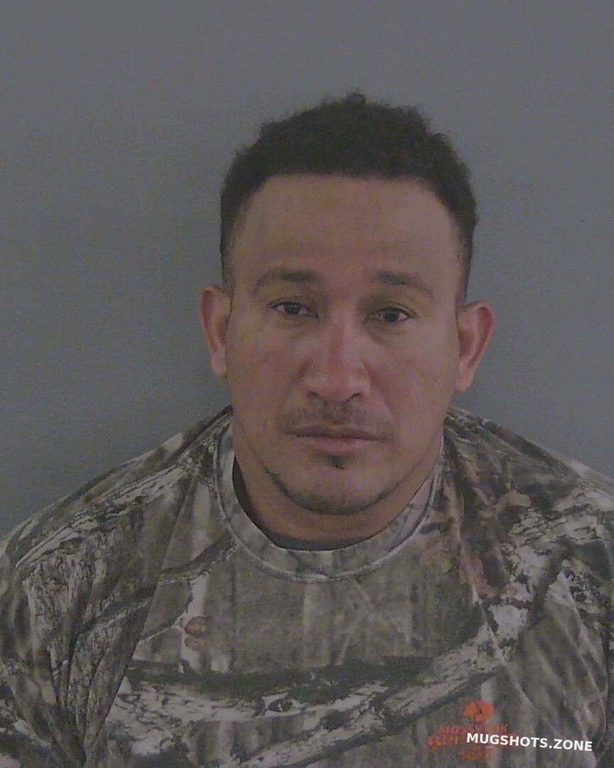 VELASQUEZ-GALLARDO CARLOS LUIS 11/25/2024 - Sumter County Mugshots Zone
